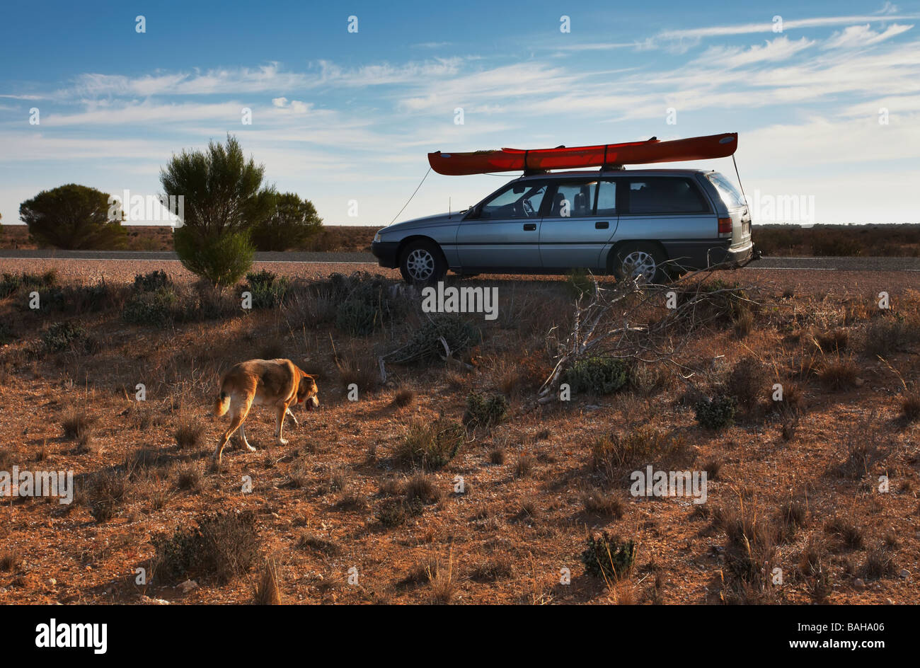 Car kayak australia hi-res stock photography and images - Alamy