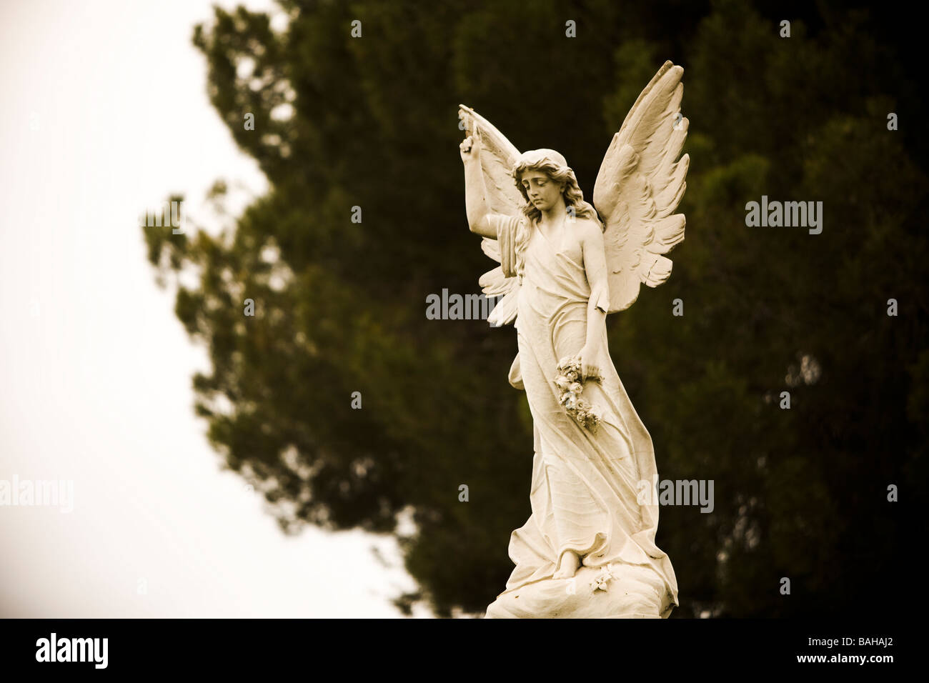 Angel Statue Angelus Rosedale Cemetery Los Angeles California United ...