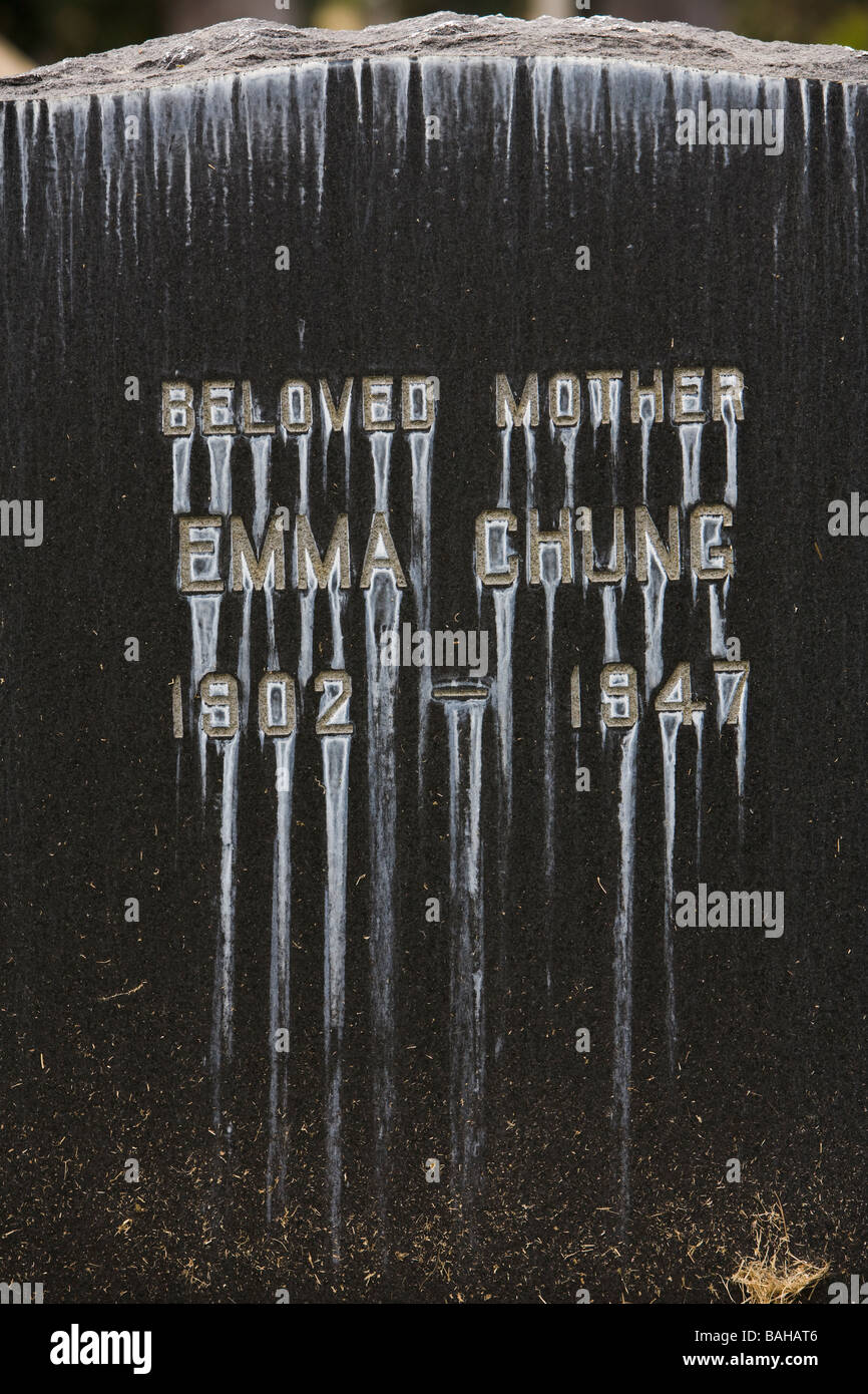 Tombstones Angelus Rosedale Cemetery Los Angeles California United ...