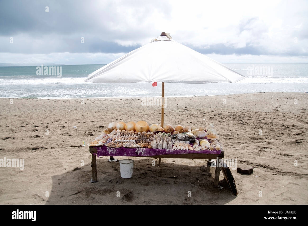 Indonesia; Table with shell display Stock Photo - Alamy