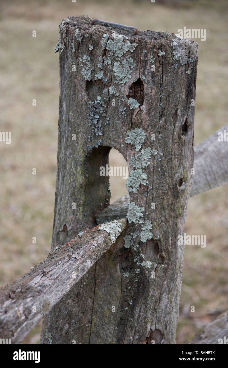 Rustic fence post hi-res stock photography and images - Alamy