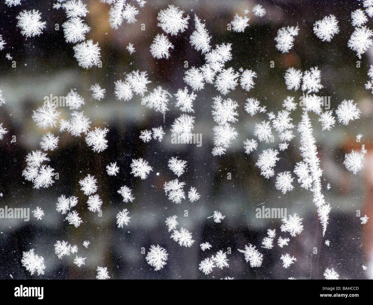 Hoar frost window hi-res stock photography and images - Alamy
