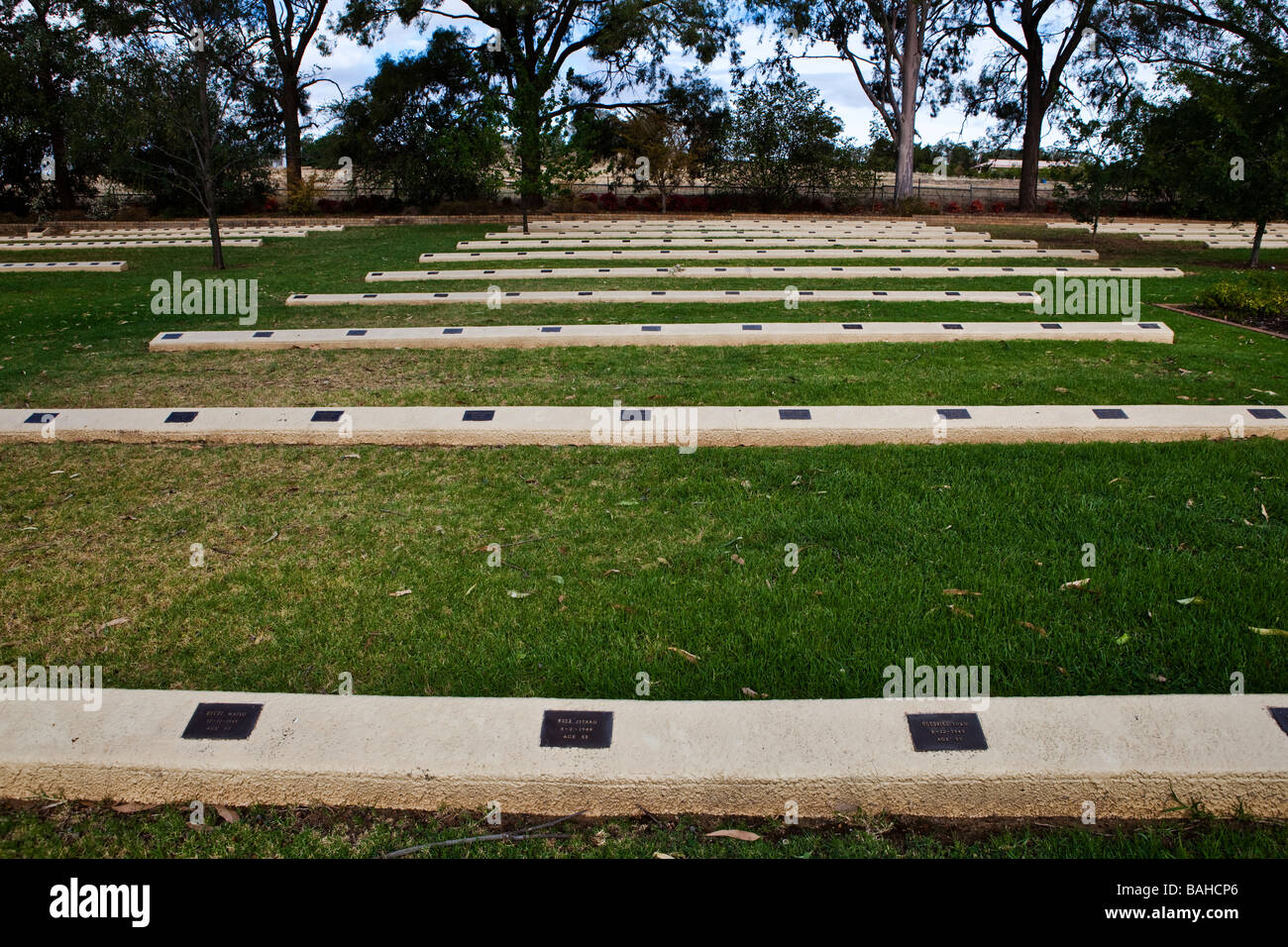 Japanese graves at the Japanese war cemetery in Cowra, NSW, Australia ...