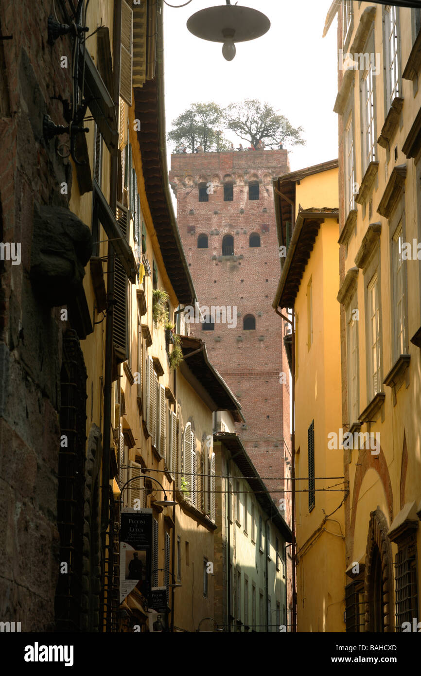Torre guinigi lucca tuscany italy hi-res stock photography and images ...