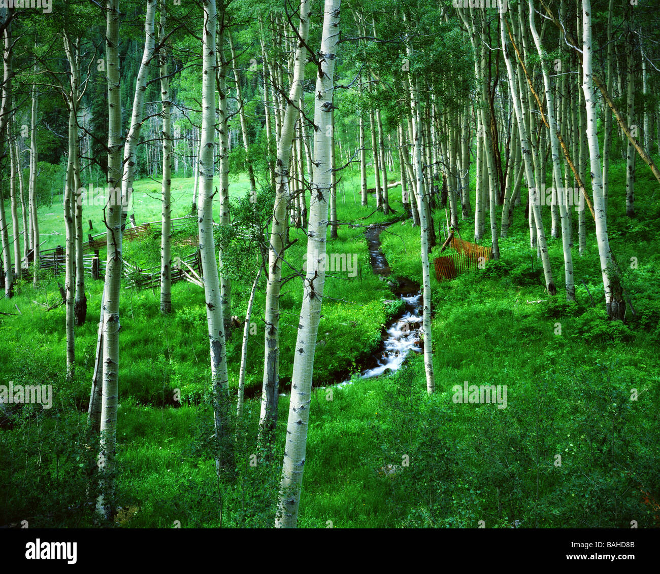 Dude ranch colorado hi-res stock photography and images - Alamy