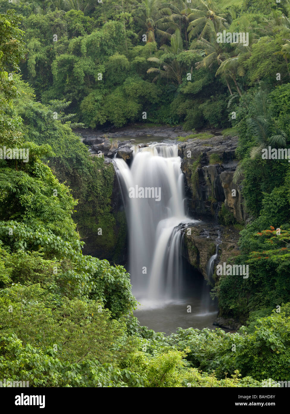 Waterfall flowing into a river, Bali, Indonesia Stock Photo - Alamy