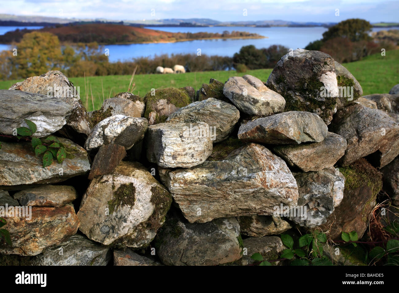 Stone Wall The Burren Ireland Stock Photo - Alamy