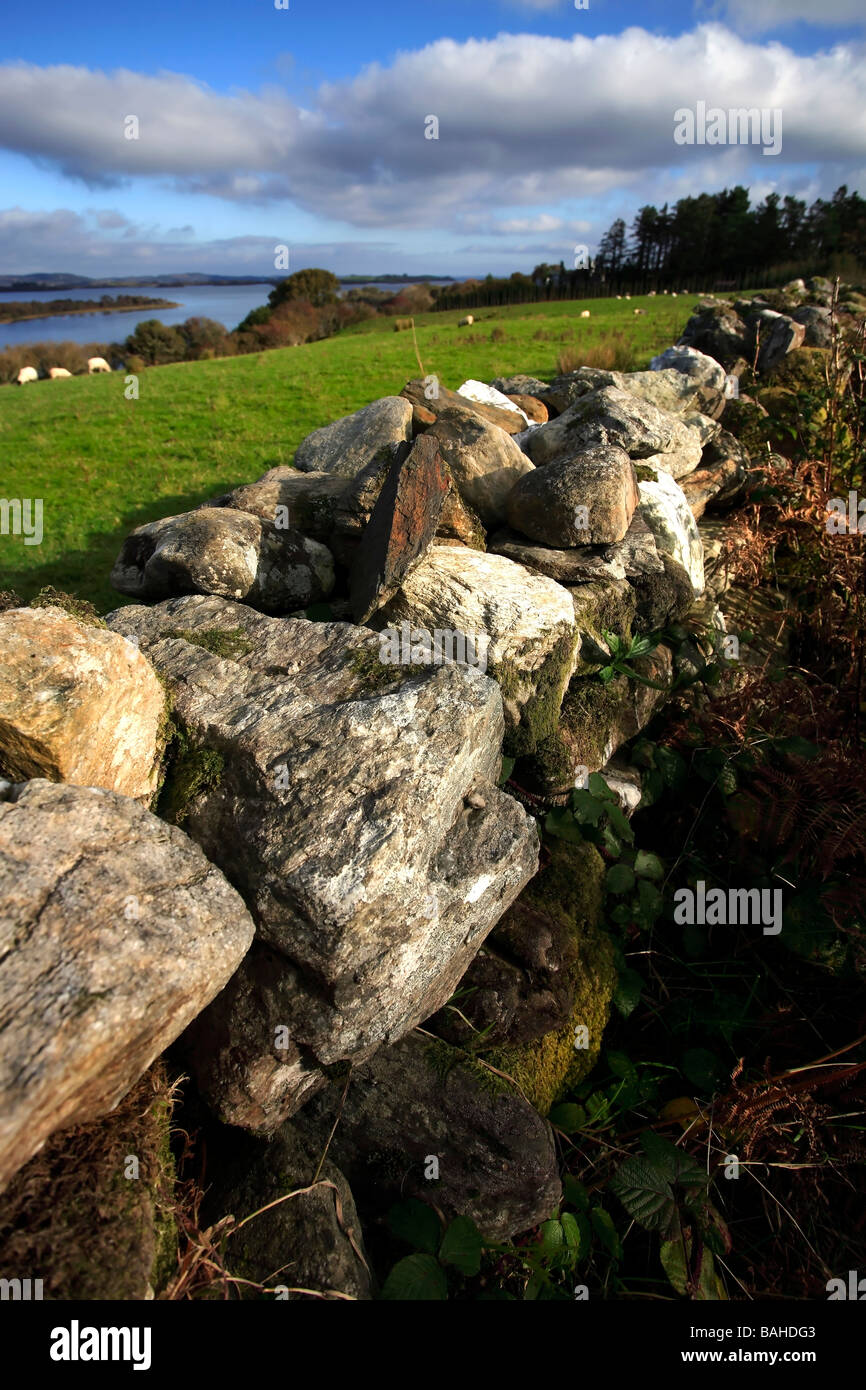 Close up Detail of a Stone Wall in The Burren Ireland Stock Photo - Alamy