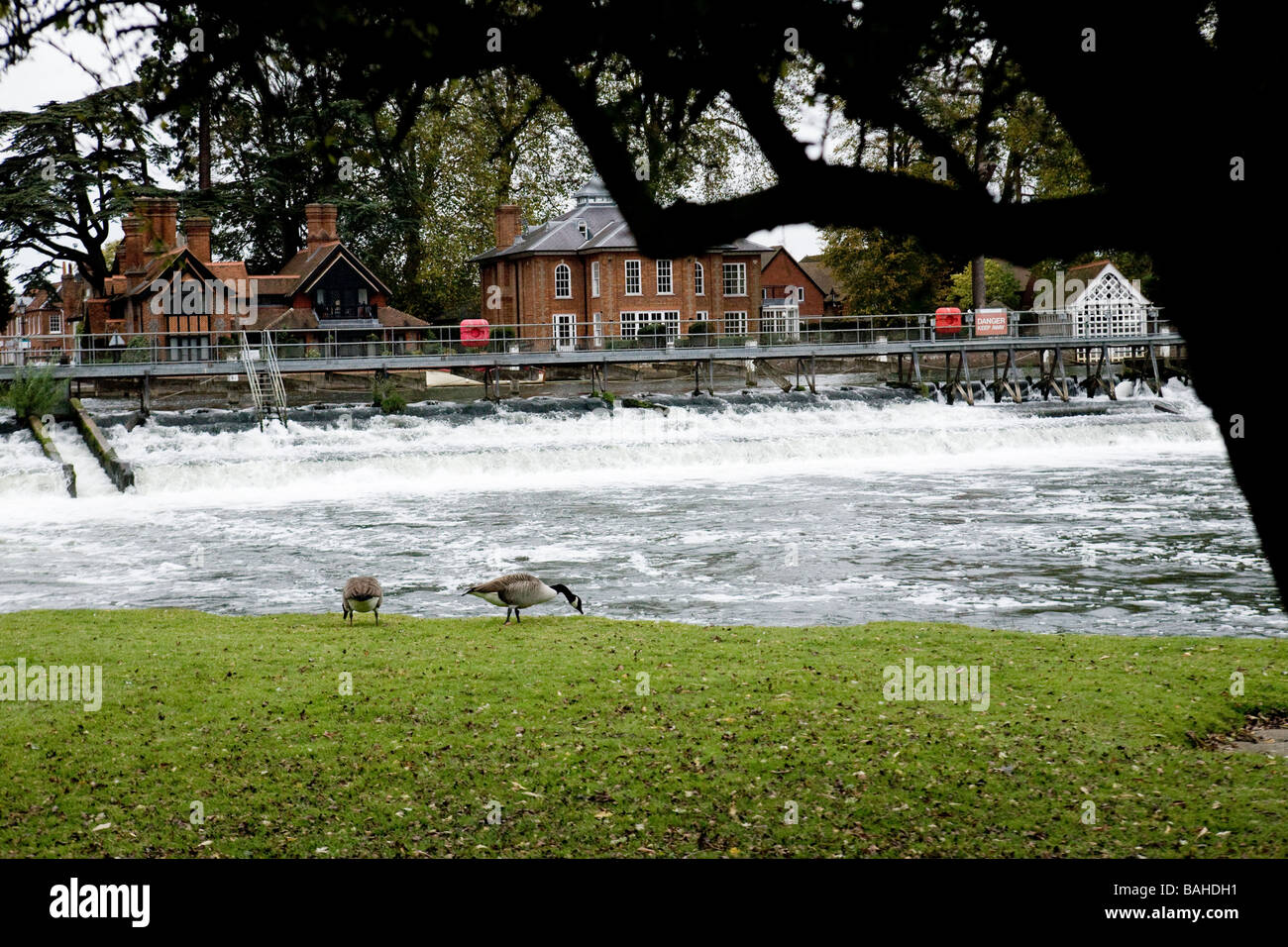 Marlow bucks by river thames hi-res stock photography and images - Alamy