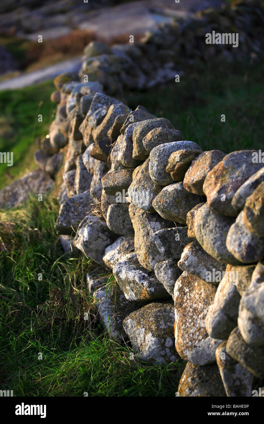 Burren detail hi-res stock photography and images - Alamy