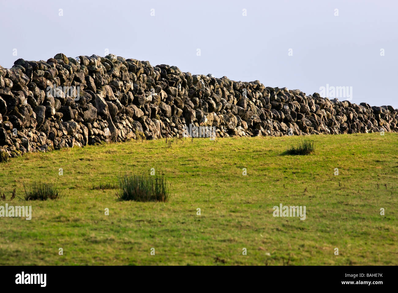 Stone Wall in Landscape Ireland Stock Photo - Alamy