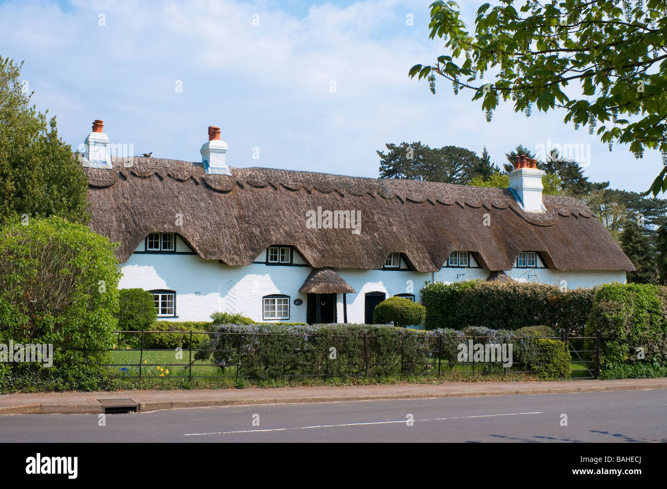 Swan green lyndhurst hi-res stock photography and images - Alamy