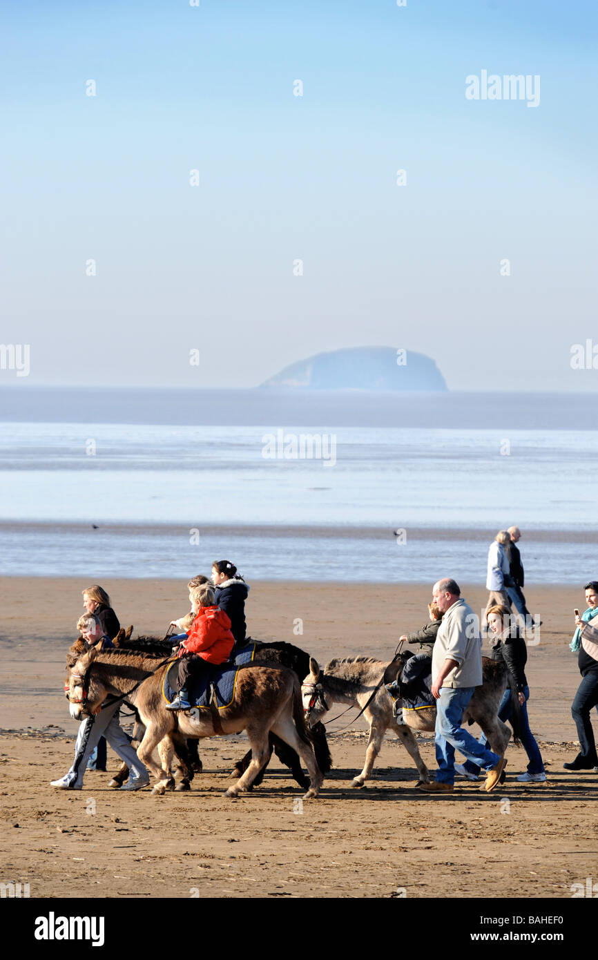 British seaside donkeys hi-res stock photography and images - Alamy