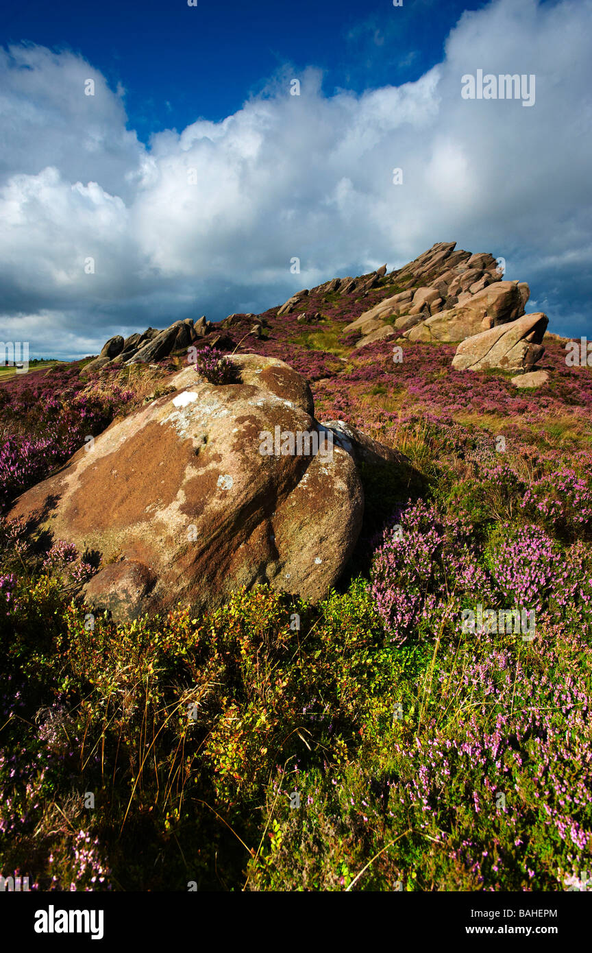 Ramshaw Rocks Staffordshire UK Stock Photo - Alamy