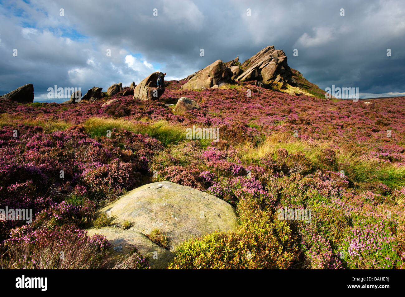 Ramshaw rocks hi-res stock photography and images - Alamy