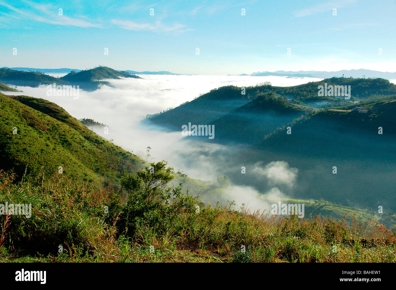 Parunthu hi-res stock photography and images - Alamy