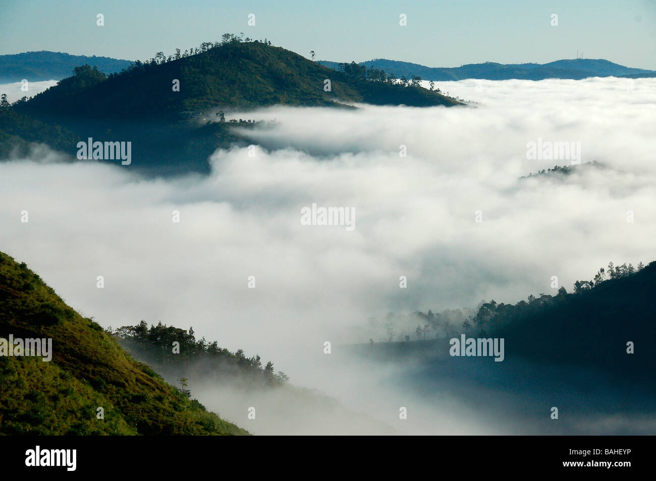Idukki And Mist High Resolution Stock Photography and Images - Alamy