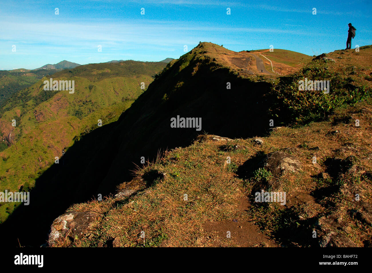 Parunthu hi-res stock photography and images - Alamy