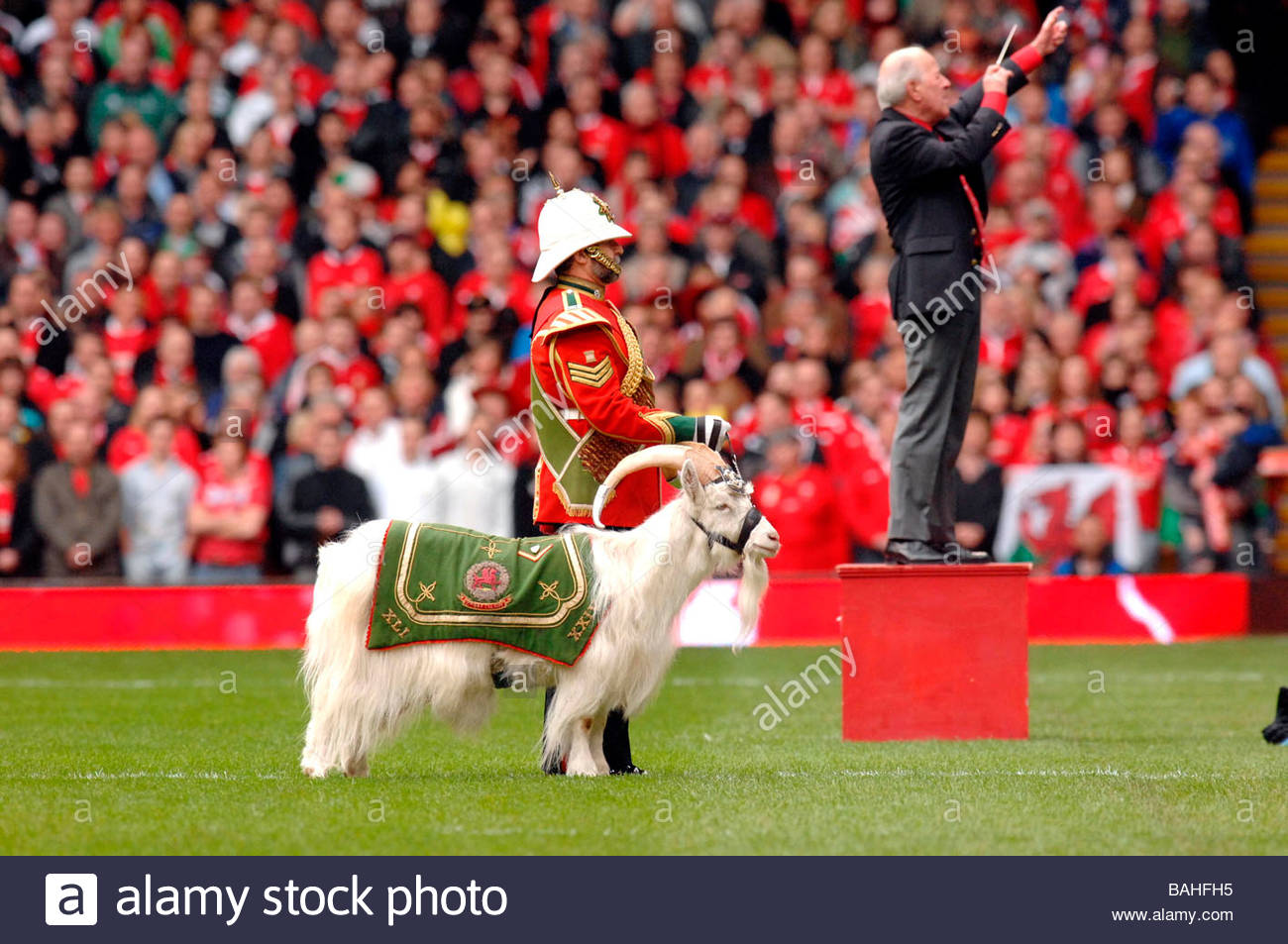 Rugby Sound High Resolution Stock Photography and Images - Alamy