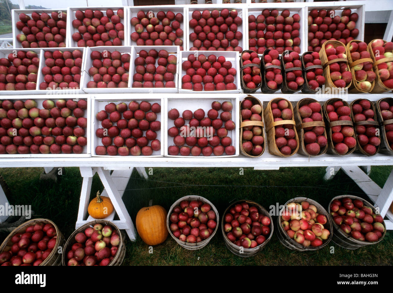 apple, quebec, canada, usa Stock Photo - Alamy