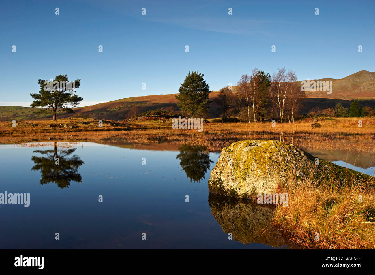 Kelly hall hi-res stock photography and images - Alamy