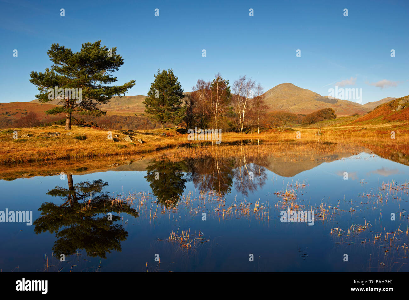 Kelly hall hi-res stock photography and images - Alamy