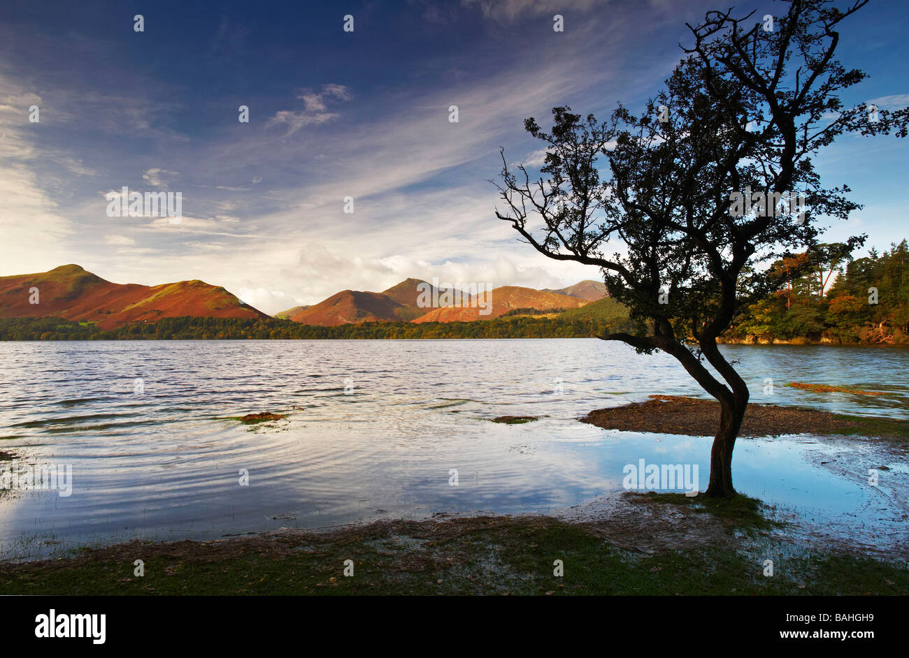 Derwentwater island mist hi-res stock photography and images - Alamy