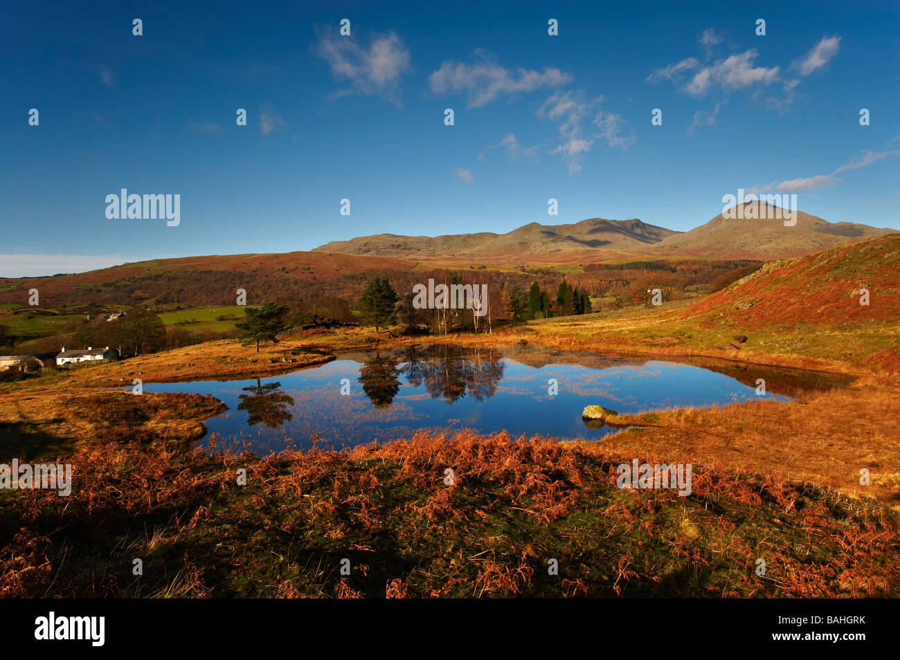 Kelly hall hi-res stock photography and images - Alamy