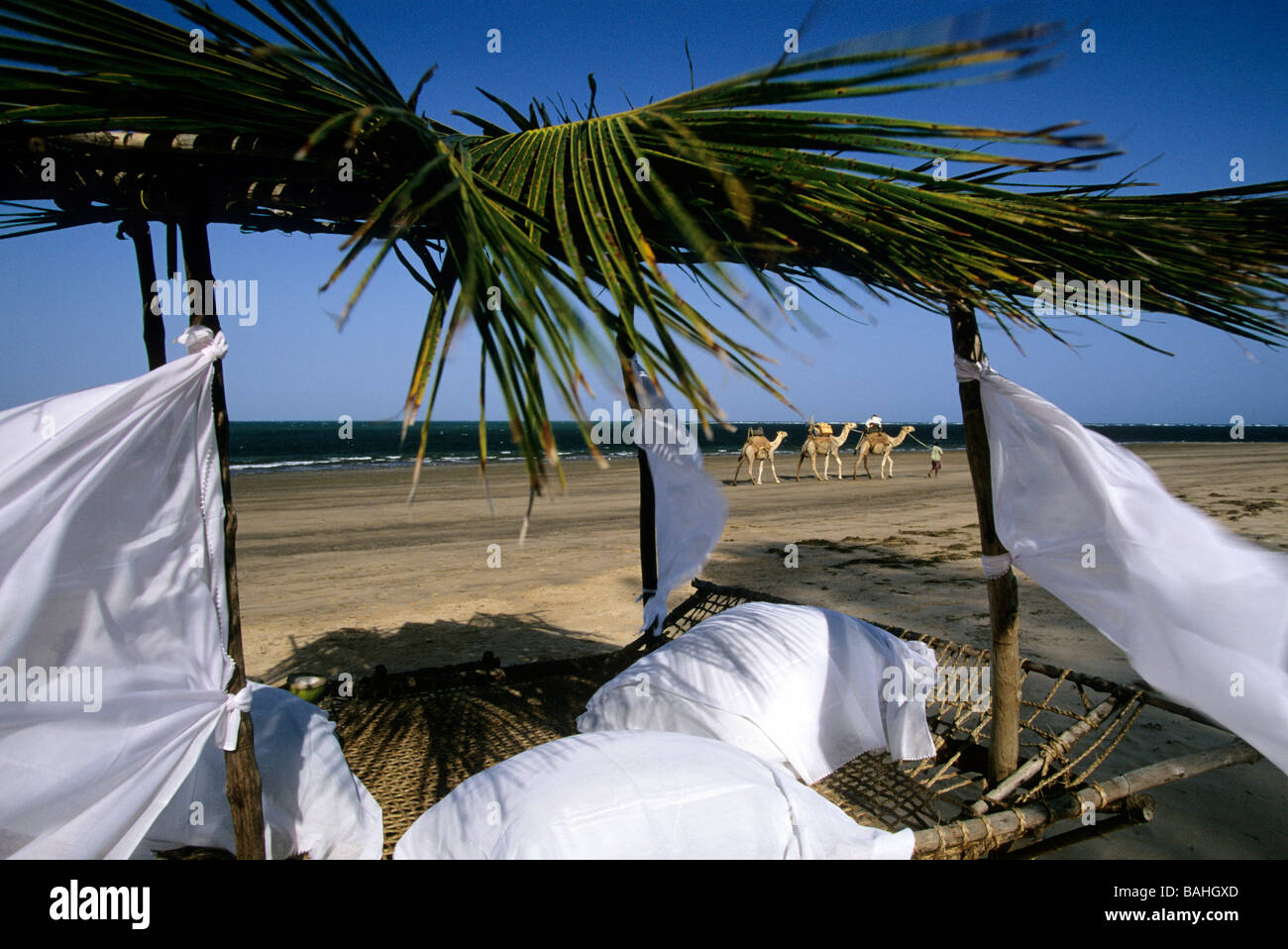 che shale, malindi, kenya, africa Stock Photo - Alamy