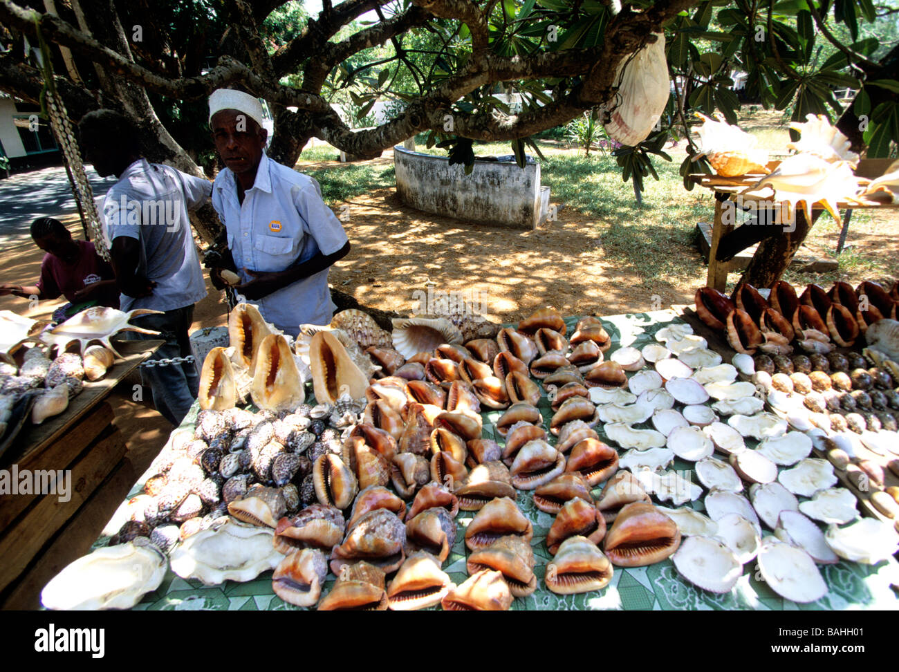 malindi, kenya, africa Stock Photo - Alamy