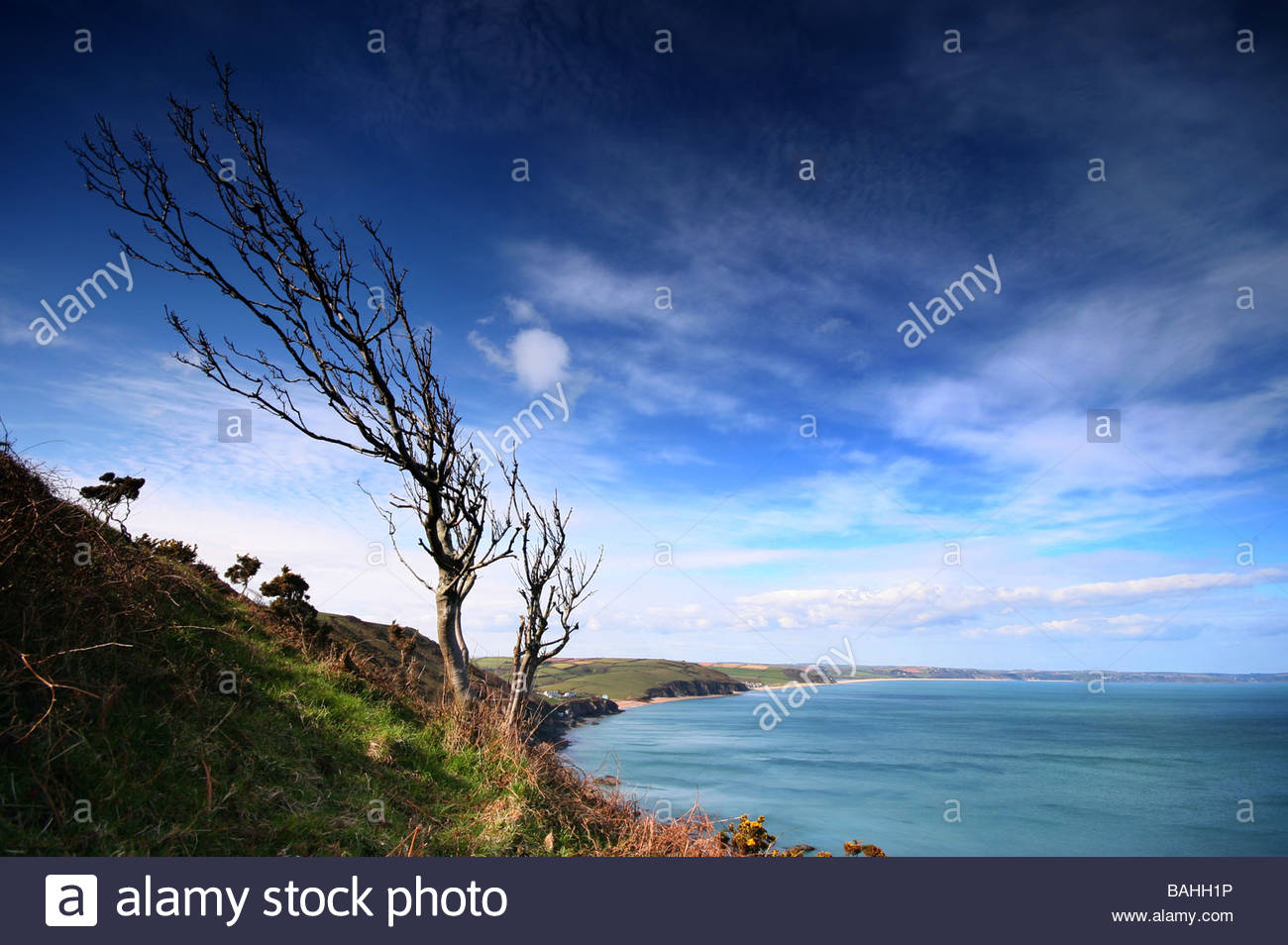 Cliff Overlooking Ocean High Resolution Stock Photography and Images ...