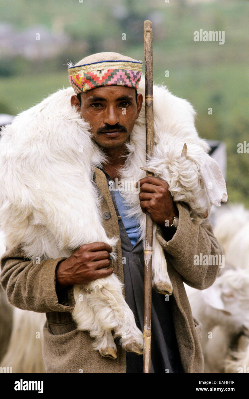 India shepherd hi-res stock photography and images - Alamy