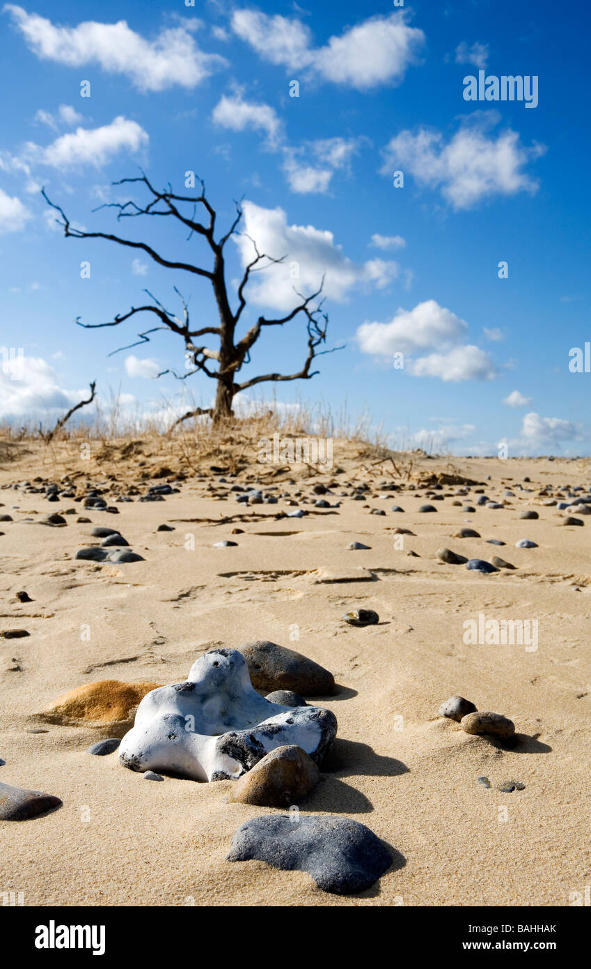 Cloudspebbles hi-res stock photography and images - Alamy