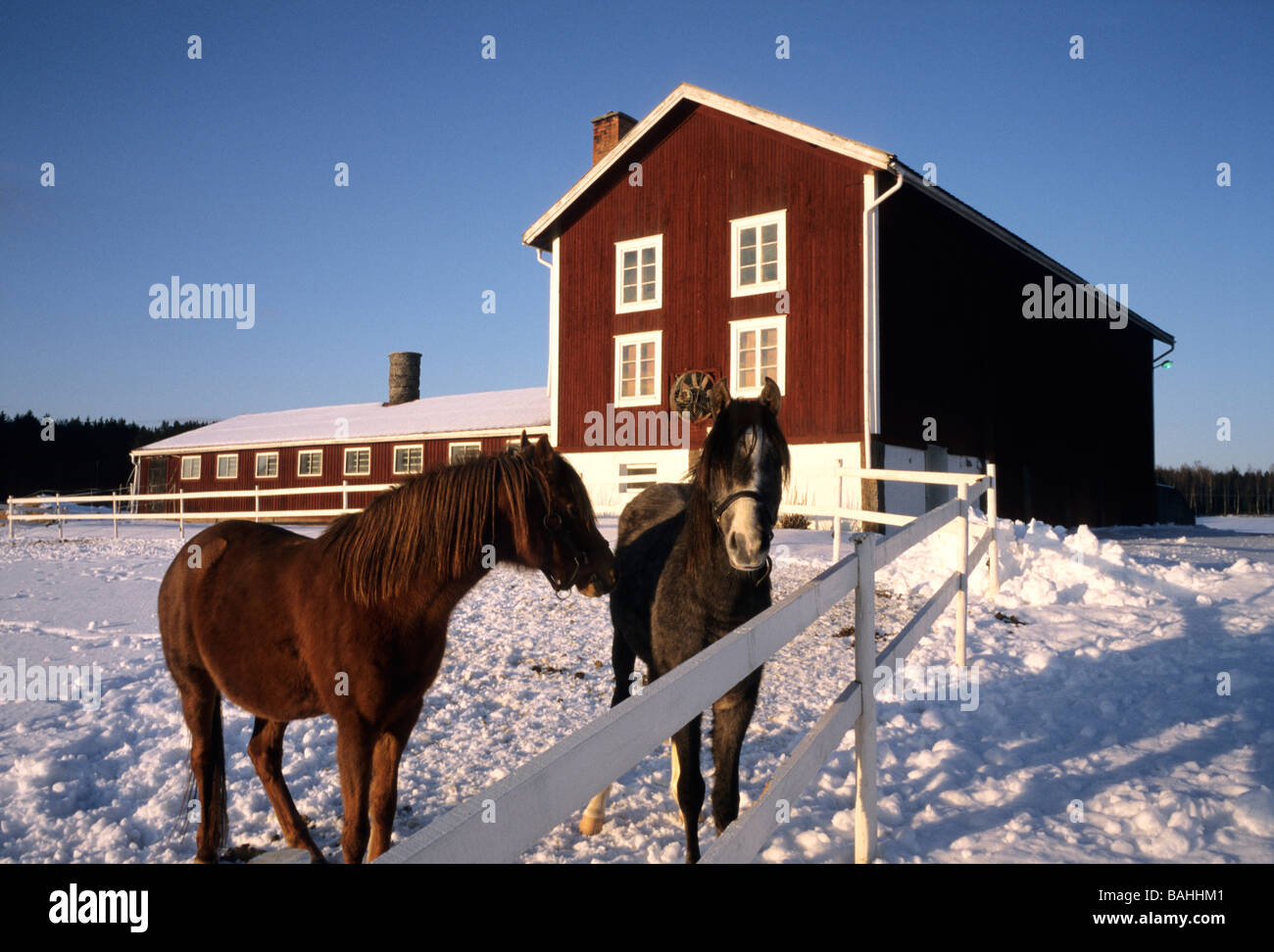 delsbo, sweden, europe Stock Photo - Alamy