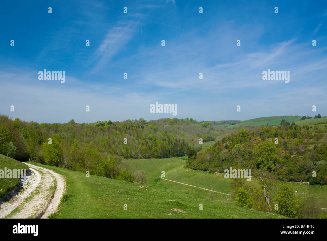 Bridle path uk hi-res stock photography and images - Alamy