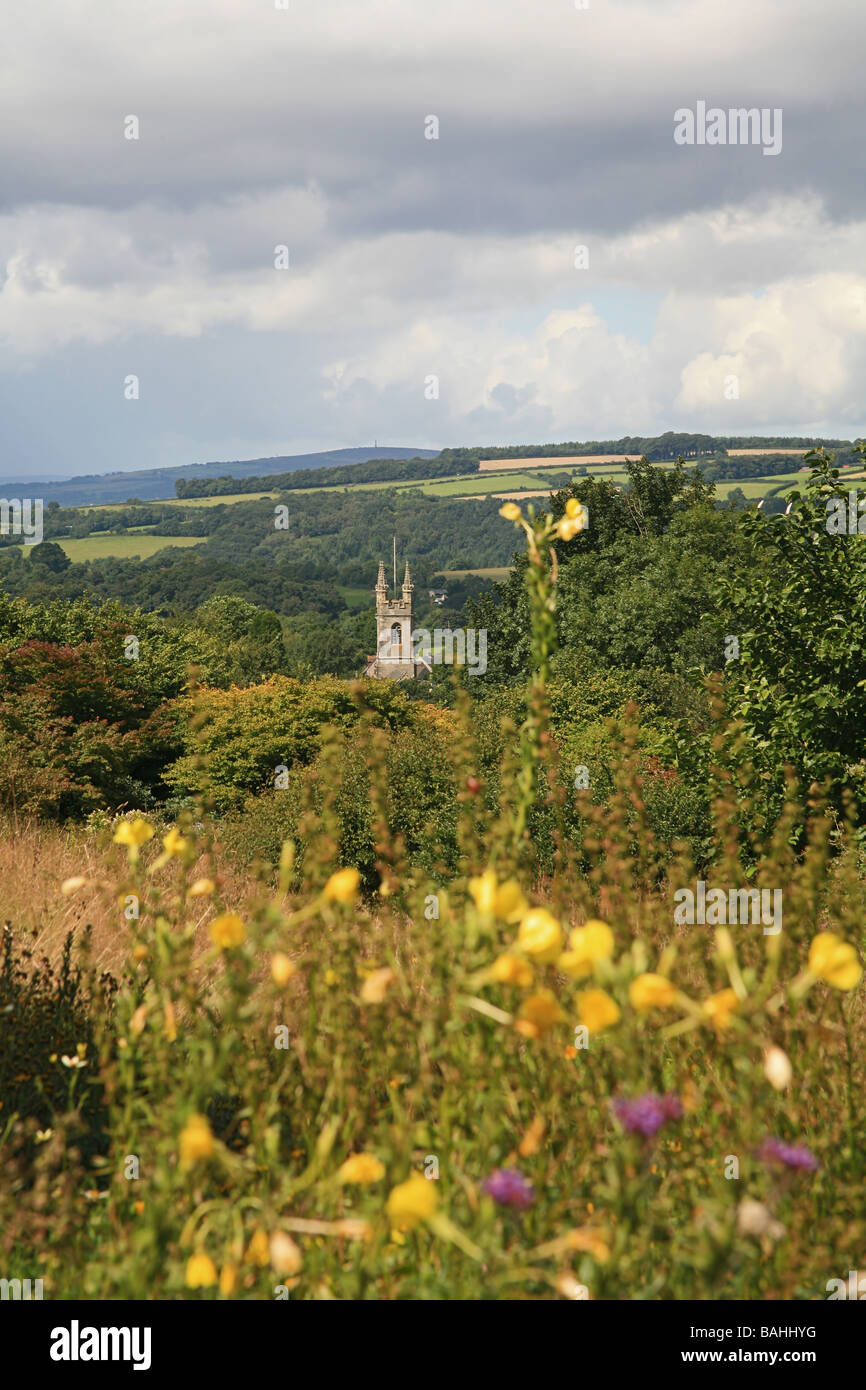 Buckland Monachorum church with Dartmoor beyond as seen from The Garden ...