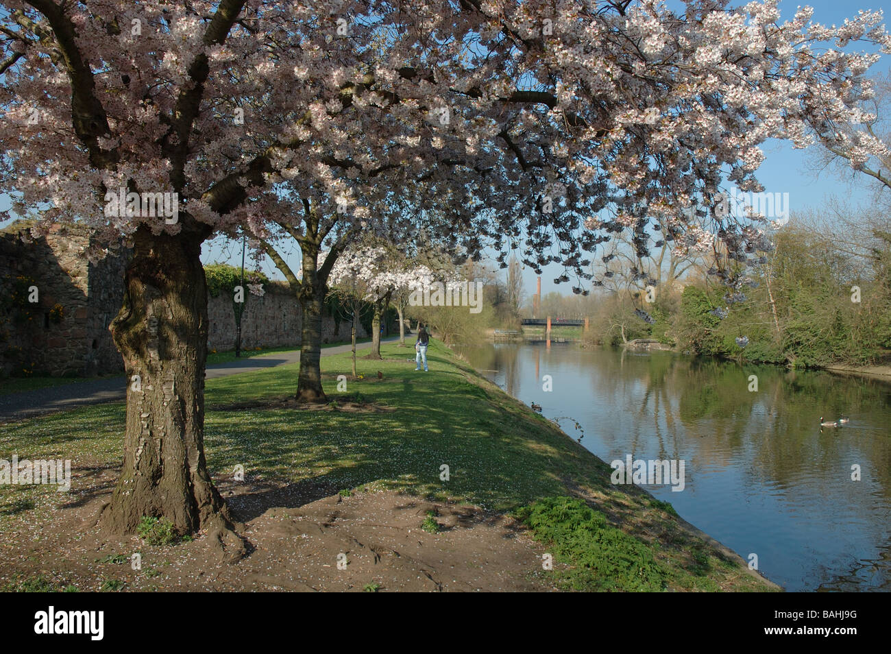 Abbey park leicester hi-res stock photography and images - Alamy