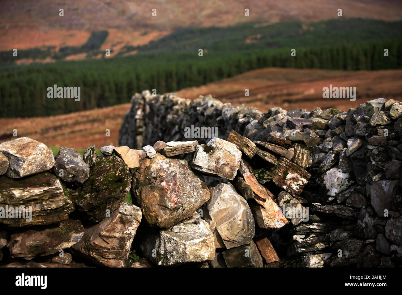 Stone Wall Ireland Stock Photo - Alamy