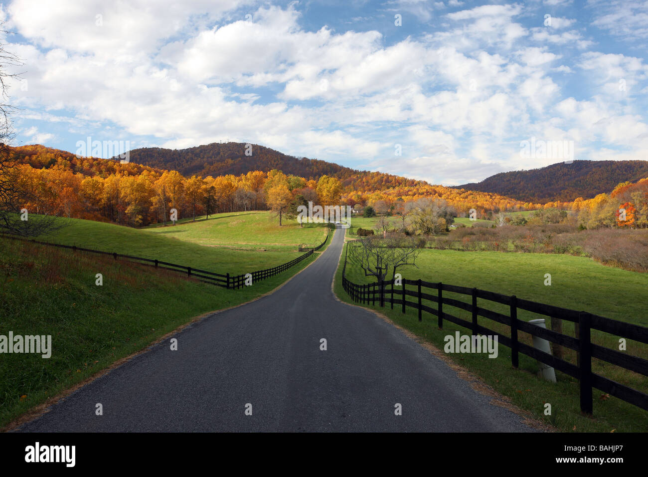 Country roads lined with trees filled with fall colors in Albemarle ...