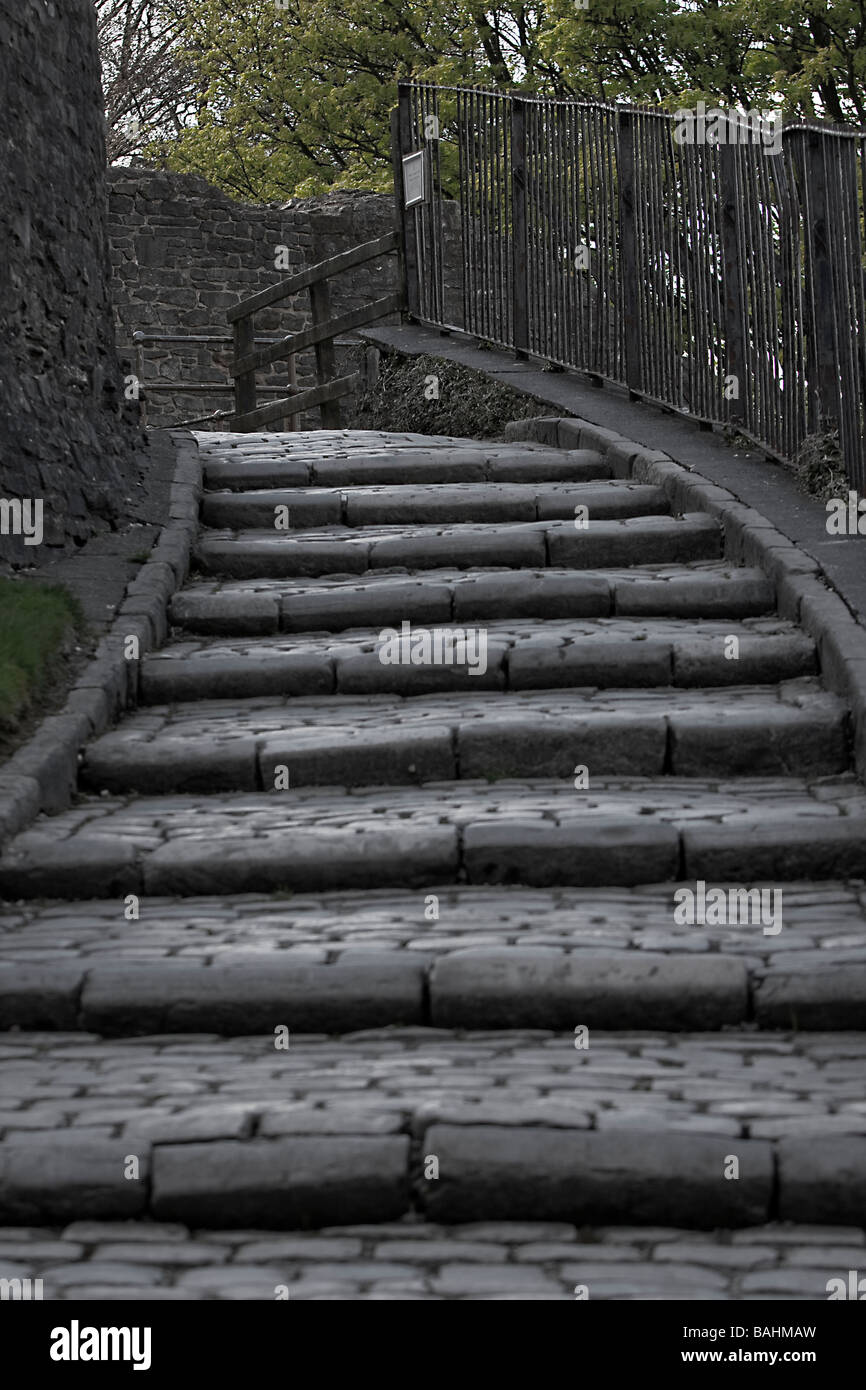 Steps pathway hi-res stock photography and images - Alamy