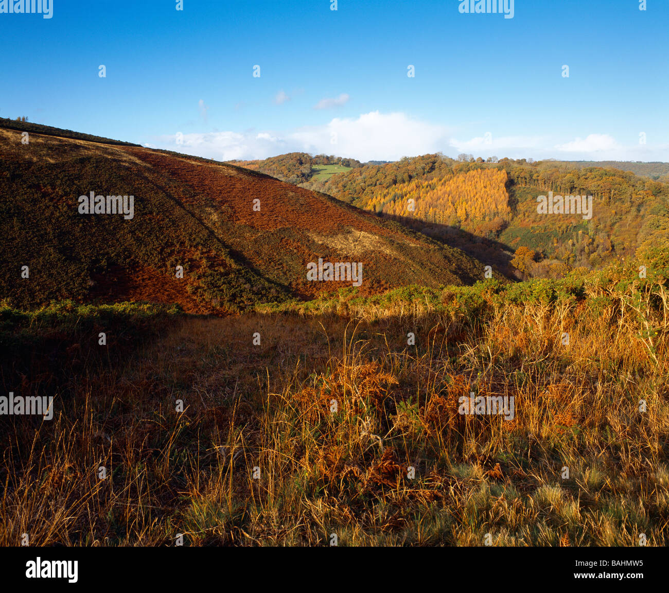 Trendlebere Down in Dartmoor National Park near Manaton and Lustleigh ...