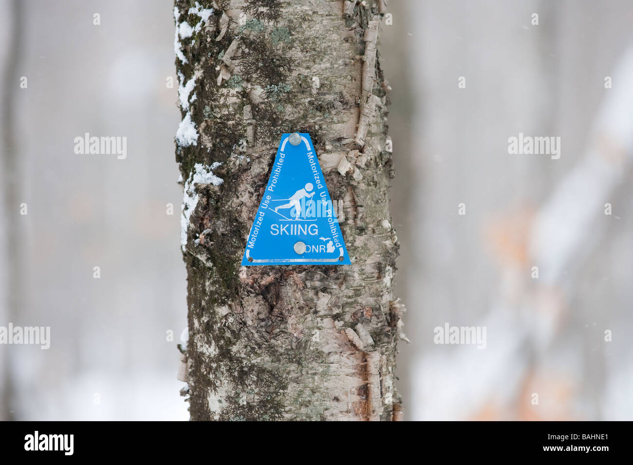 A TRAIL MARKER ON A TREE INDICATES A CROSS COUNTRY SKIING TRAIL Stock ...