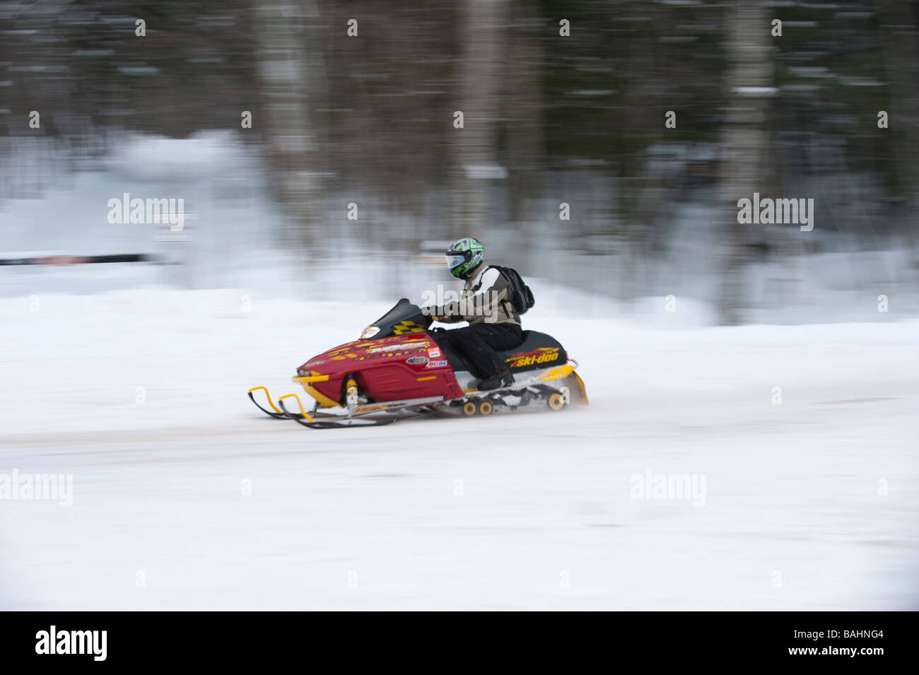 A SNOWMOBILE IN MOTION DRIVES ON A TRAIL THROUGH THE PORCUPINE ...