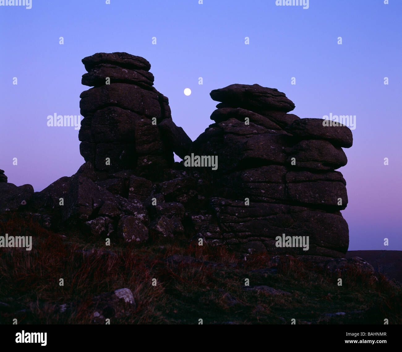 The Moon overhead Hound Tor at dusk, Manaton, Devon, England Stock ...