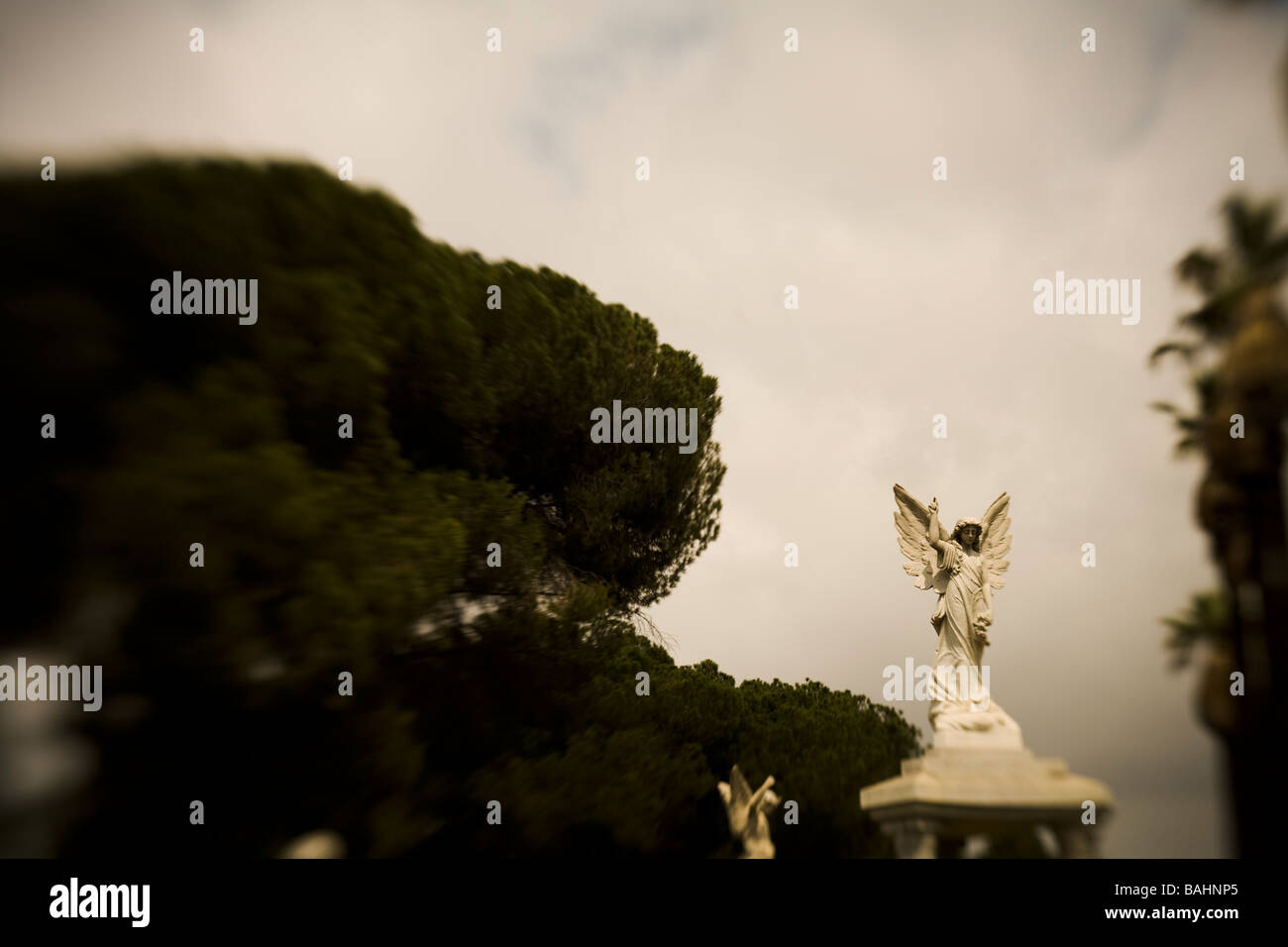 Angel Statue Angelus Rosedale Cemetery Los Angeles California United ...