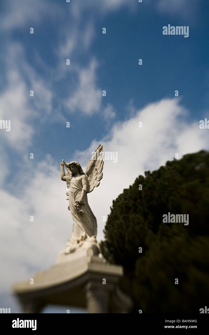 Angel Statue Angelus Rosedale Cemetery Los Angeles California United ...