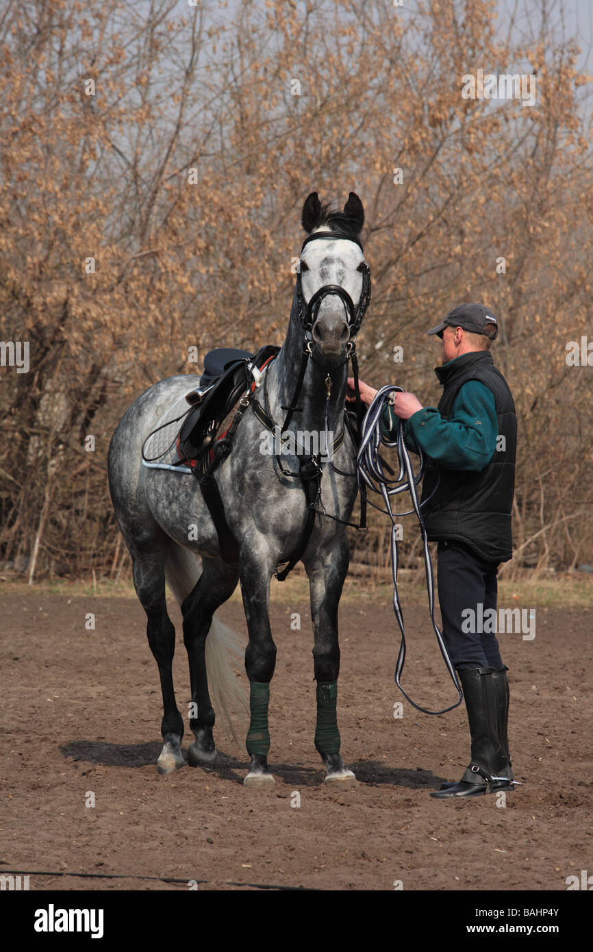 A man standing next to a horse Stock Photo - Alamy