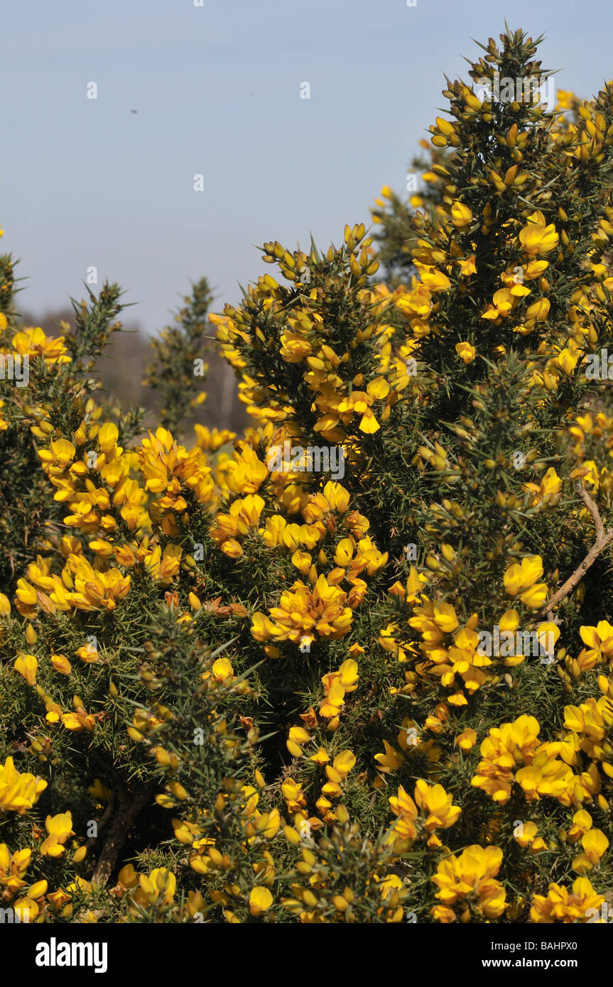 Spine road hi-res stock photography and images - Alamy