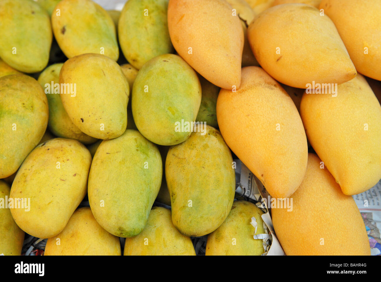Round mangoes hi-res stock photography and images - Alamy