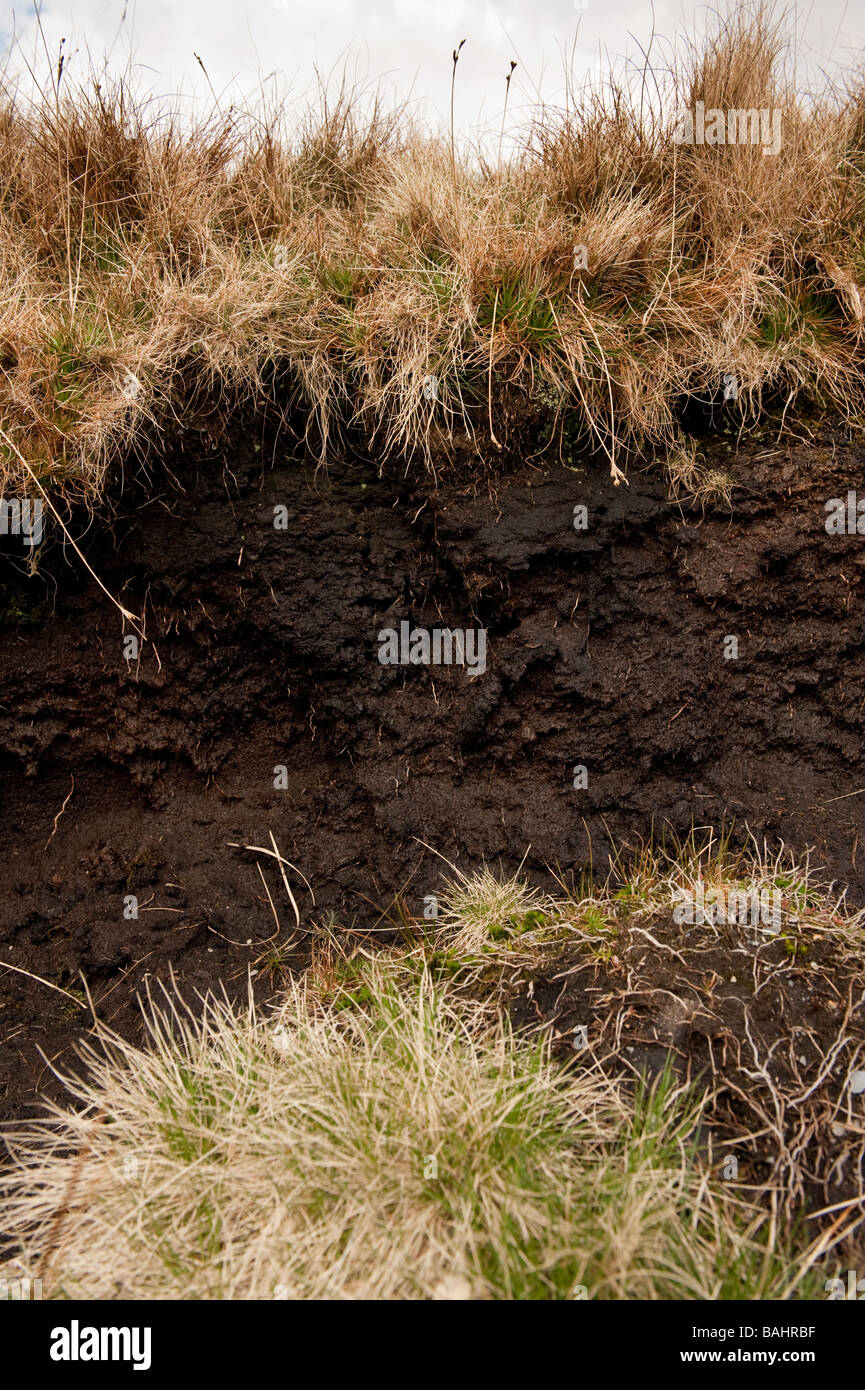 Raised moors hi-res stock photography and images - Alamy
